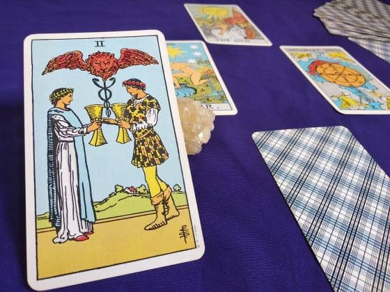 The Two of Cups Tarot Card Meaning Upright and Reversed ...