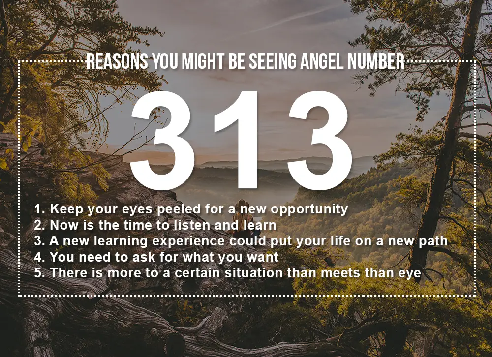 Angel Number 313 Meanings – Why Are You Seeing 313?