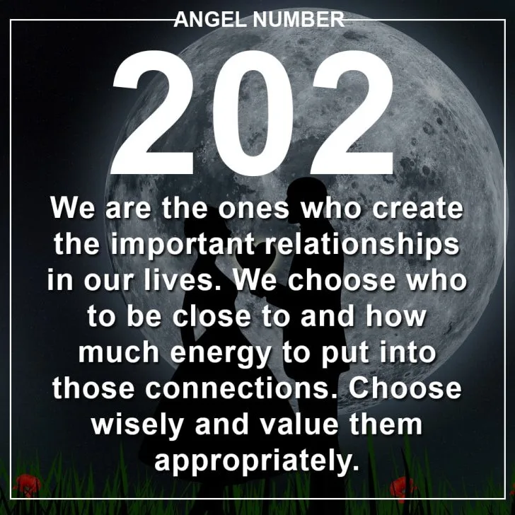 Angel Number 202 Meanings – Why Are You Seeing 202?
