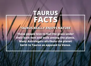 40 Interesting Facts About Taurus Zodiac Sign - Numerologysign.com