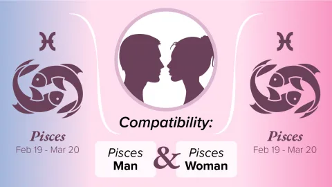 Zodiac Signs Compatibility Chart Percentages for Overall, Sex & Marriage