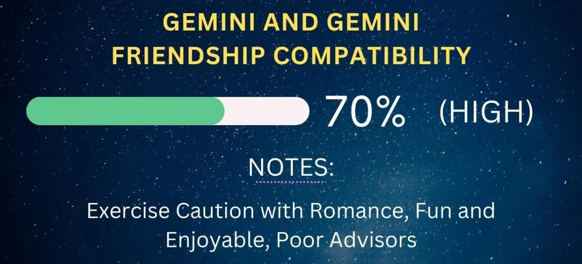 Gemini Friendship Compatibility with All Zodiac Signs (Percentages and ...