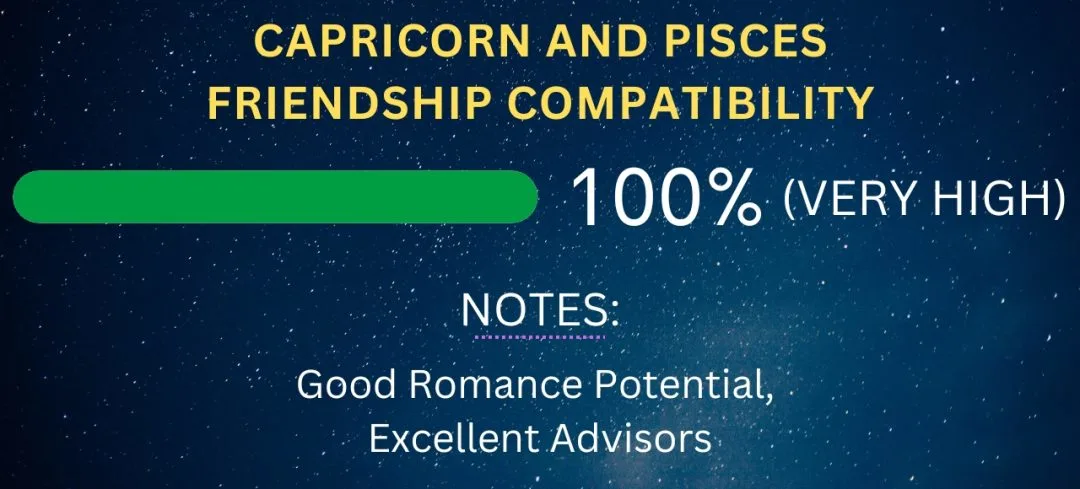 Capricorn Friendship Compatibility with All Zodiac Signs (Percentages ...
