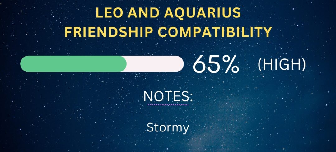 Aquarius Friendship Compatibility with All Zodiac Signs (Percentages ...